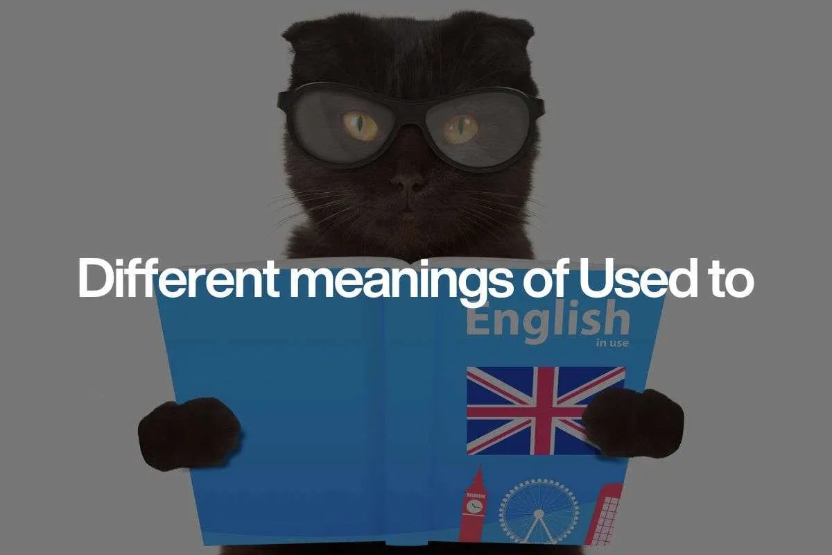 The Difference Between Shall and Will in the Future Tense - kuksha