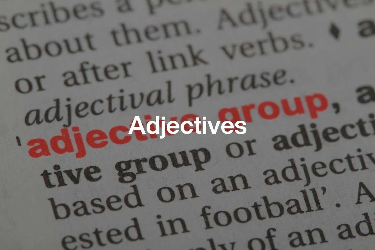 5 Different Types of Adjectives with Examples - kuksha